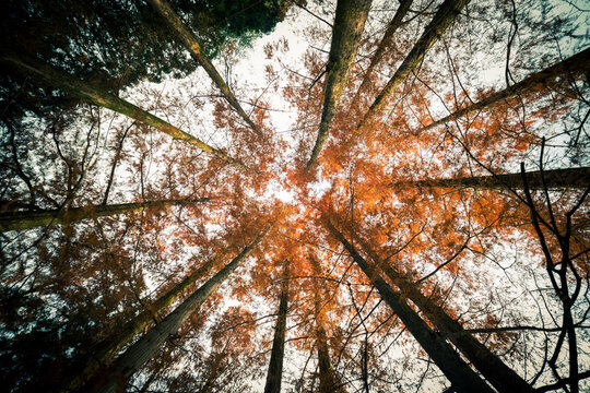 รูปภาพCheilosis – เลือกดูภาพถ่ายสต็อก เวกเตอร์ และวิดีโอ23,582 | Adobe ...