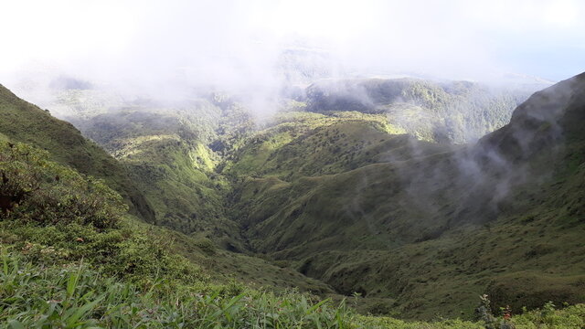 Averse Images – Browse 6,064 Stock Photos, Vectors, and Video | Adobe Stock