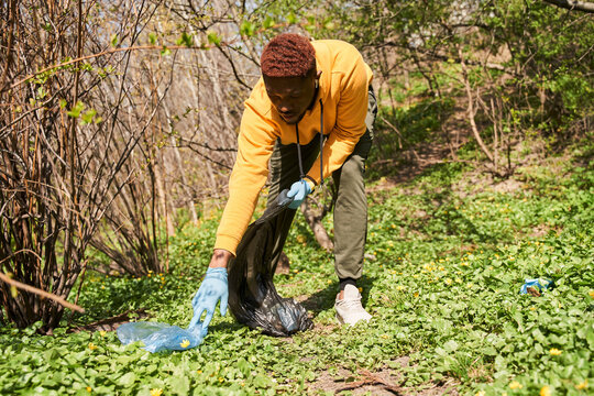 Garbish Bilder – Durchsuchen 26 Archivfotos, Vektorgrafiken und Videos ...