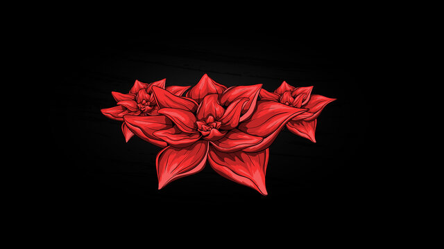 รูปภาพRoes-Flower – เลือกดูภาพถ่ายสต็อก เวกเตอร์ และวิดีโอ275 | Adobe Stock