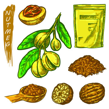 "Nutmeg Powder" Images – Browse 279 Stock Photos, Vectors, and Video ...