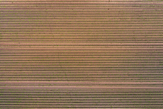 Verbundmaterial Bilder – Durchsuchen 5,855 Archivfotos, Vektorgrafiken und Videos | Adobe Stock