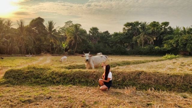 Indicine Images – Browse 67 Stock Photos, Vectors, and Video | Adobe Stock