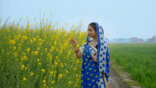 Sarso Images – Browse 693 Stock Photos, Vectors, and Video | Adobe Stock