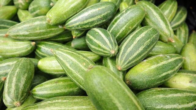 Parwal Images – Browse 664 Stock Photos, Vectors, and Video | Adobe Stock