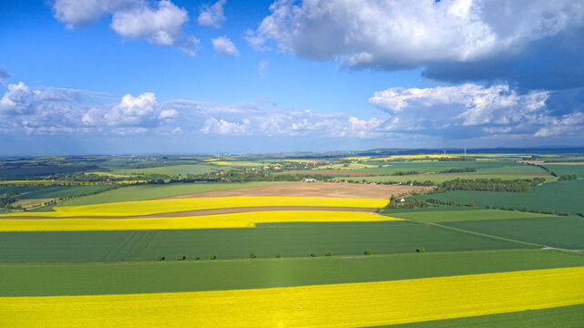 Hirschfeld Images – Browse 365 Stock Photos, Vectors, and Video | Adobe ...