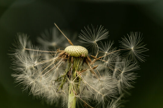 รูปภาพZah – เลือกดูภาพถ่ายสต็อก เวกเตอร์ และวิดีโอ1,083 | Adobe Stock