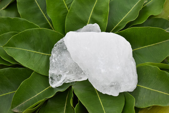 รูปภาพCamphor – เลือกดูภาพถ่ายสต็อก เวกเตอร์ และวิดีโอ8,781 | Adobe Stock