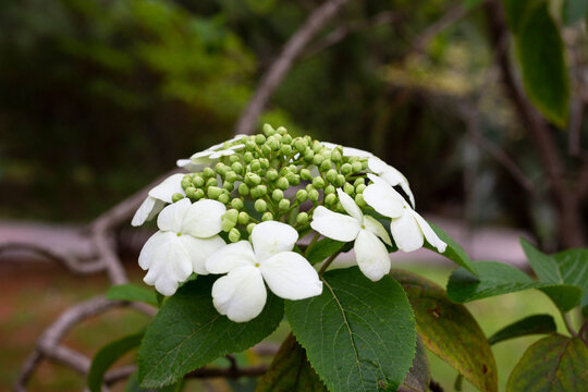 Pulus Bilder – Durchsuchen 178 Archivfotos, Vektorgrafiken und Videos ...