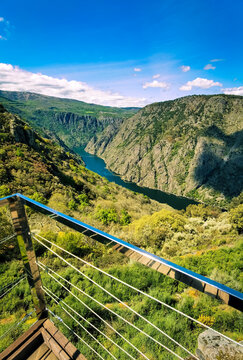 Sil Images – Browse 3,186 Stock Photos, Vectors, and Video | Adobe Stock