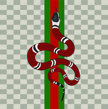 16 BEST Gucci Snake IMAGES, STOCK PHOTOS & VECTORS | Adobe Stock