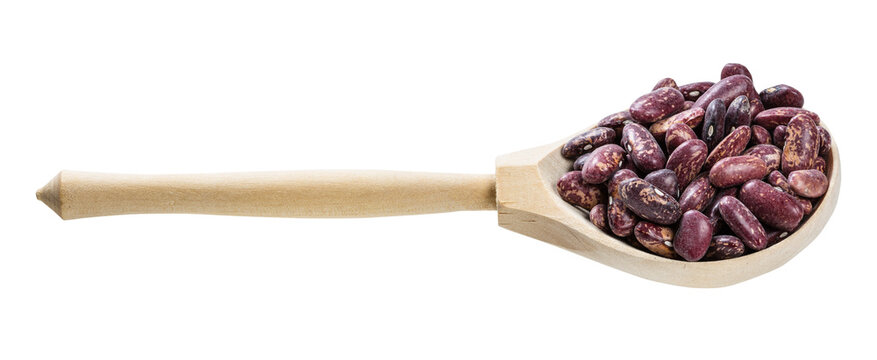 Lobia Images – Parcourir 542 le catalogue de photos, vecteurs et vidéos ...