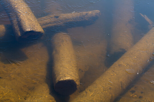 "Sunken Logs" Images – Browse 62 Stock Photos, Vectors, and Video ...