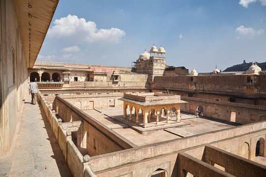 Kachwaha Images – Browse 246 Stock Photos, Vectors, and Video | Adobe Stock