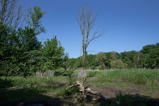 Begraafplaats Bilder – Durchsuchen 358 Archivfotos, Vektorgrafiken und ...