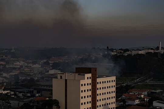 Flix photos, images, assets | Adobe Stock