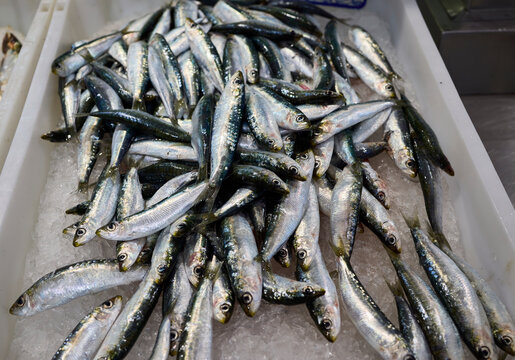 Consumed Images – Browse 378,389 Stock Photos, Vectors, and Video ...