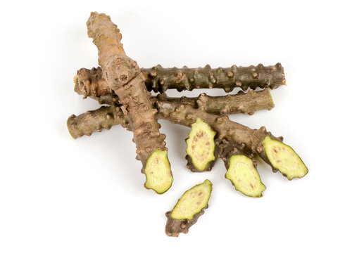 Giloe Images – Parcourir 539 le catalogue de photos, vecteurs et vidéos ...