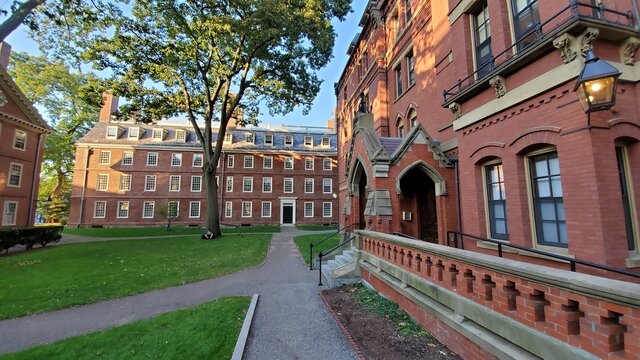 LAS 1,861 MEJORES IMÁGENES, FOTOS DE ARCHIVO Y VECTORES DE Harvard ...