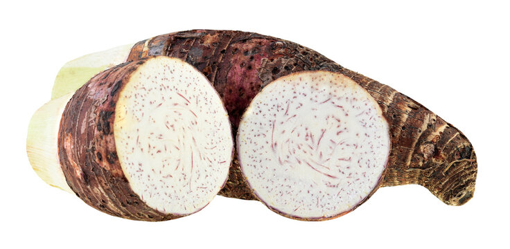 "Taro Corm" Bilder – Durchsuchen 350 Archivfotos, Vektorgrafiken und ...