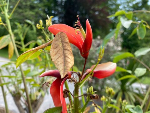 「Cry-Baby」の画像 - 15 件の Stock 写真、ベクターおよびビデオ | Adobe Stock