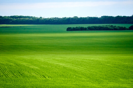 รูปภาพGrass-Land – เลือกดูภาพถ่ายสต็อก เวกเตอร์ และวิดีโอ3,552 | Adobe ...