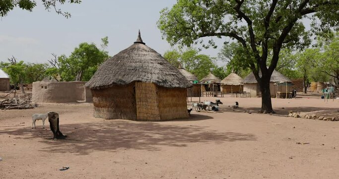 Structure.mud Images – Browse 35,886 Stock Photos, Vectors, and Video ...