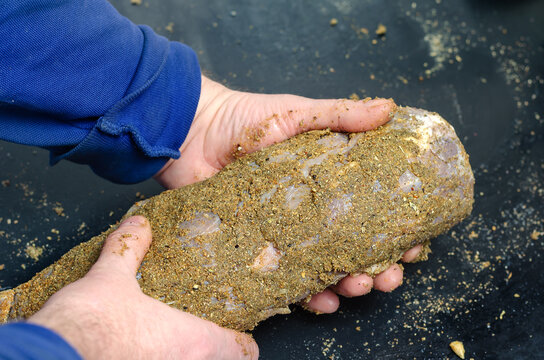 Gabagool Images – Browse 62 Stock Photos, Vectors, and Video | Adobe Stock