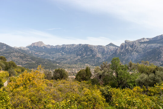 รูปภาพSoller – เลือกดูภาพถ่ายสต็อก เวกเตอร์ และวิดีโอ6,002 | Adobe Stock