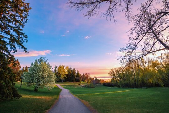 Calgary Alberta Nature Spring Bilder – Durchsuchen 1,698 Archivfotos ...