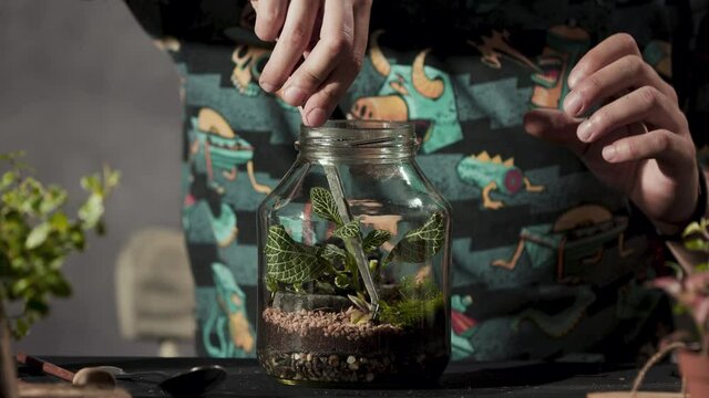 Terrarium Making Images – Browse 2,041 Stock Photos, Vectors, and Video ...