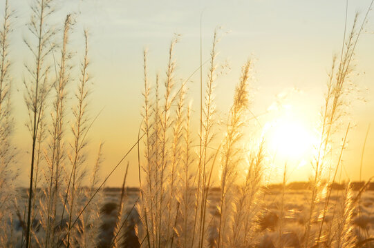 Kashful Images – Browse 246 Stock Photos, Vectors, and Video | Adobe Stock