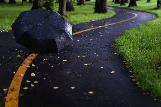 PREMIUM Bad Path STOCK ASSETS | Adobe Stock