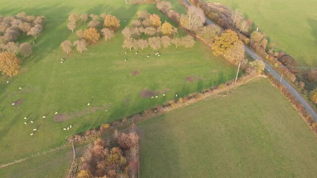 Kentish Images – Browse 3,176 Stock Photos, Vectors, and Video | Adobe ...