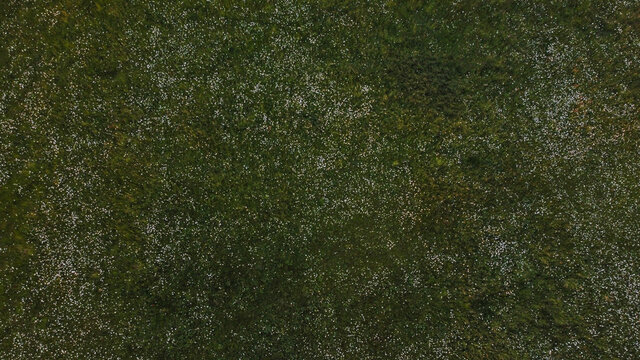 รูปภาพDox – เลือกดูภาพถ่ายสต็อก เวกเตอร์ และวิดีโอ2,339 | Adobe Stock