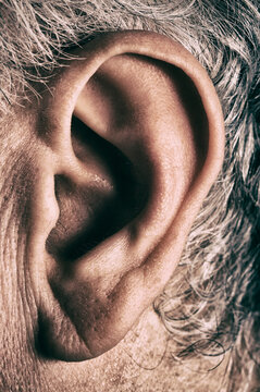 รูปภาพManear – เลือกดูภาพถ่ายสต็อก เวกเตอร์ และวิดีโอ1 | Adobe Stock