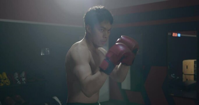 Boxercise Imagens – Procure 930 fotos, vetores e vídeos | Adobe Stock