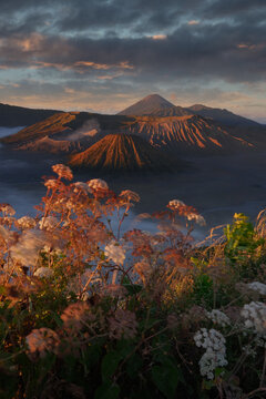 รูปภาพBatok – เลือกดูภาพถ่ายสต็อก เวกเตอร์ และวิดีโอ4,411 | Adobe Stock