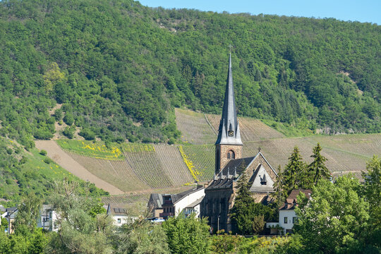 Marg Bilder – Durchsuchen 829 Archivfotos, Vektorgrafiken und Videos ...