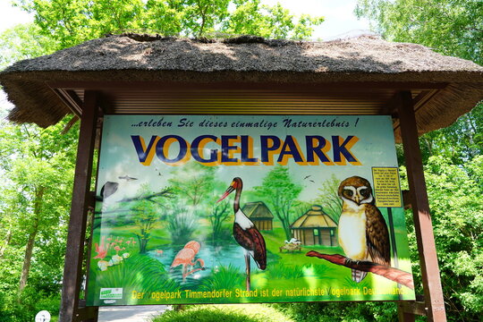 รูปภาพVogelwelt – เลือกดูภาพถ่ายสต็อก เวกเตอร์ และวิดีโอ5,036 | Adobe Stock
