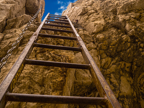 รูปภาพEchelle – เลือกดูภาพถ่ายสต็อก เวกเตอร์ และวิดีโอ745 | Adobe Stock