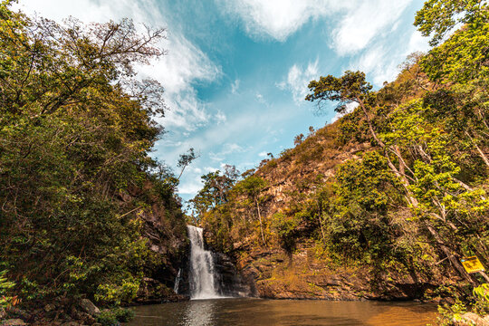 Cerrado Images – Browse 17,321 Stock Photos, Vectors, and Video | Adobe ...