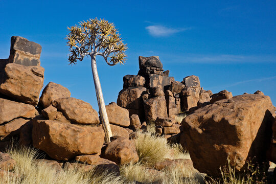 รูปภาพDolerite – เลือกดูภาพถ่ายสต็อก เวกเตอร์ และวิดีโอ1,643 | Adobe Stock
