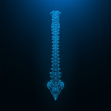 Vector Skeleton Back Images – Browse 7,464 Stock Photos, Vectors, and ...