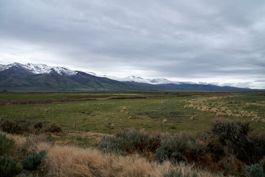 "Prairie Landscape" Images – Browse 1,050 Stock Photos, Vectors, and ...