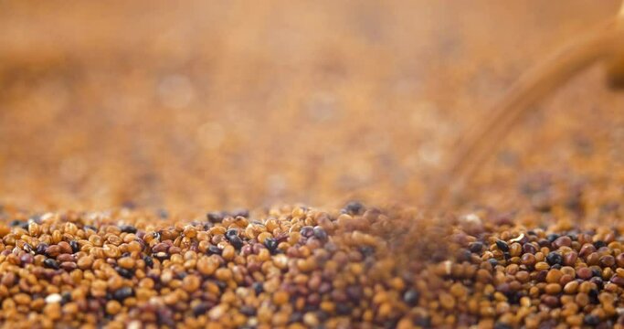 Kaniwa Images – Browse 256 Stock Photos, Vectors, and Video | Adobe Stock