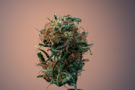 Piff Bilder – Durchsuchen 27 Archivfotos, Vektorgrafiken und Videos ...