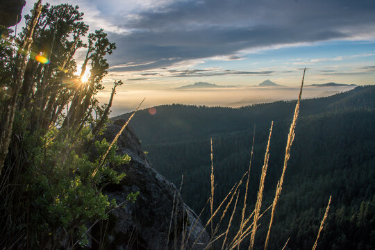 "Rayo De Sol" Images – Browse 1,381 Stock Photos, Vectors, and Video ...