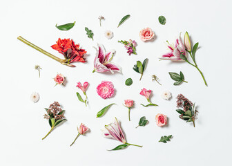 35+ Free Rose Pattern Pictures - Pikwizard