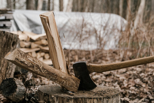 Abhacken Bilder – Durchsuchen 913,496 Archivfotos, Vektorgrafiken und ...